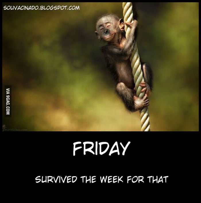 Friday - 9GAG
