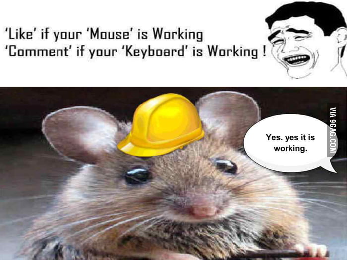 My mouse is working - 9GAG