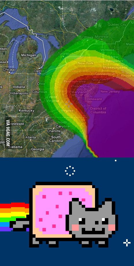 Nyan Cat, NYAN CAT EVERYWHERE!!! - 9GAG