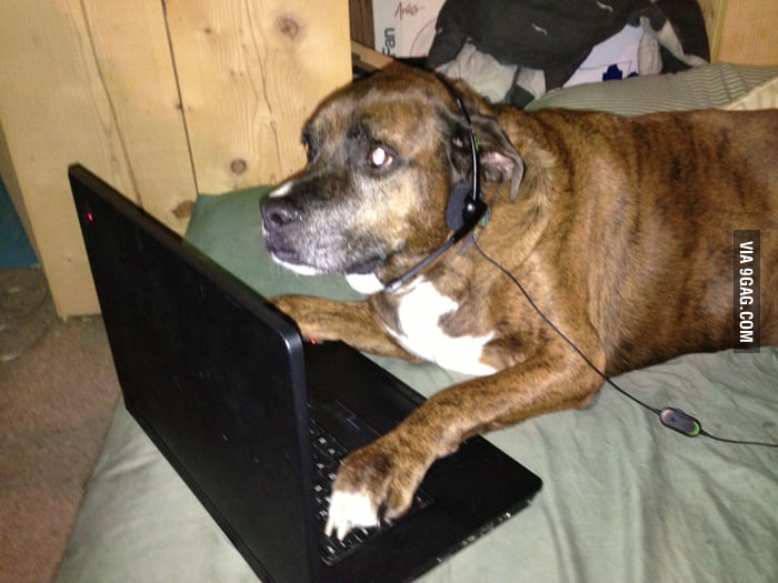 Every time I call tech support - 9GAG