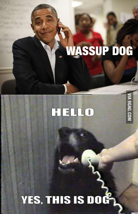 Wassup dog - 9GAG