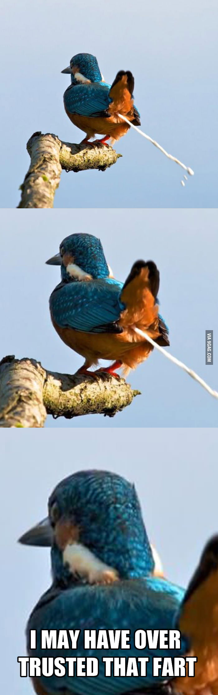 Dat Fart 9gag