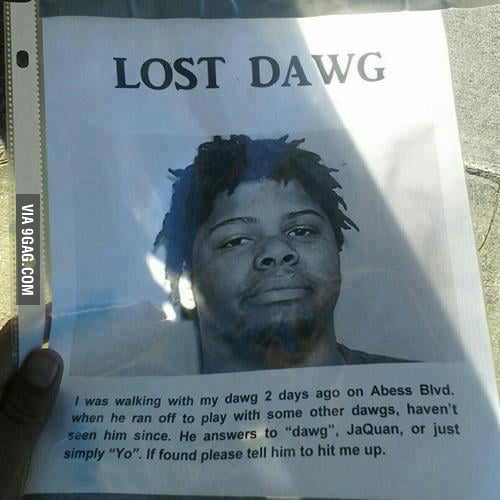 Missing Dawg - 9GAG