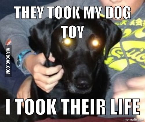 New Killer Dog Meme - 9GAG