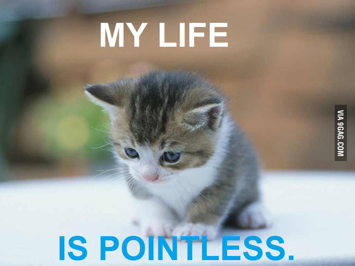 Realization cat. - 9GAG