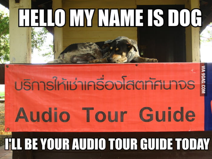 Hello, My Name is Dog... - 9GAG