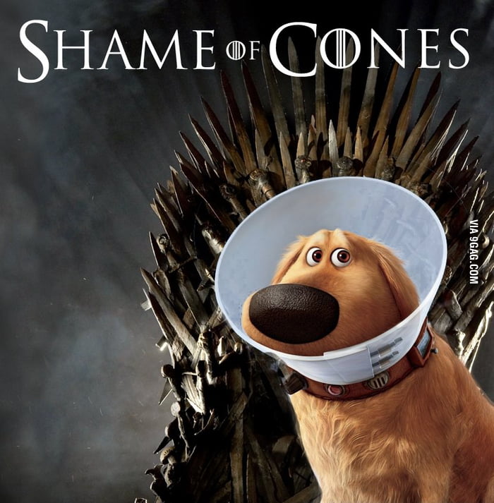 Shame of Cones. - 9GAG