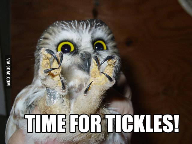 It's tickle time! - 9GAG