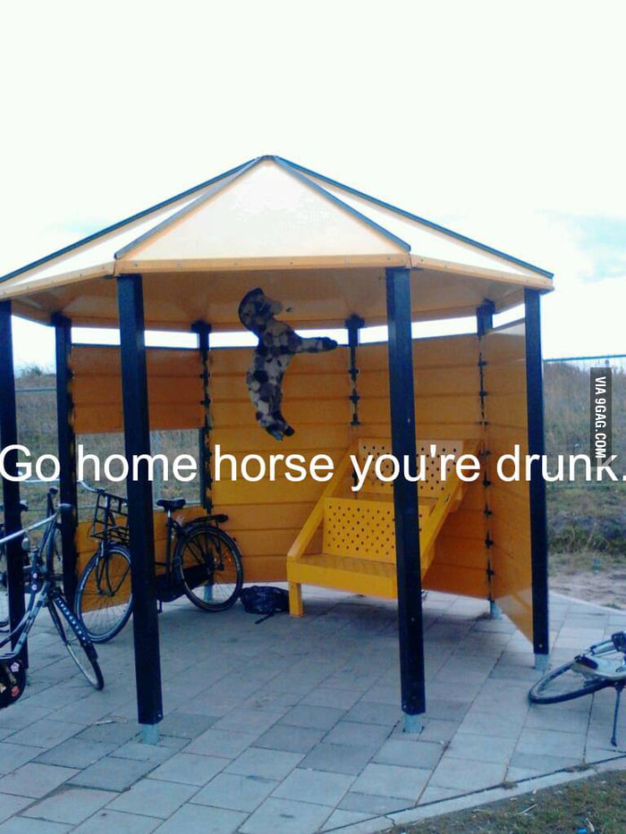 Go home you're drunk - 9GAG