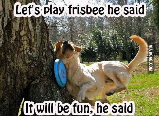 Let's play frisbee he said!!! - 9GAG