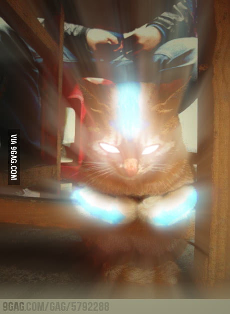 Yip Yip kitten in Avatar-mode - 9GAG