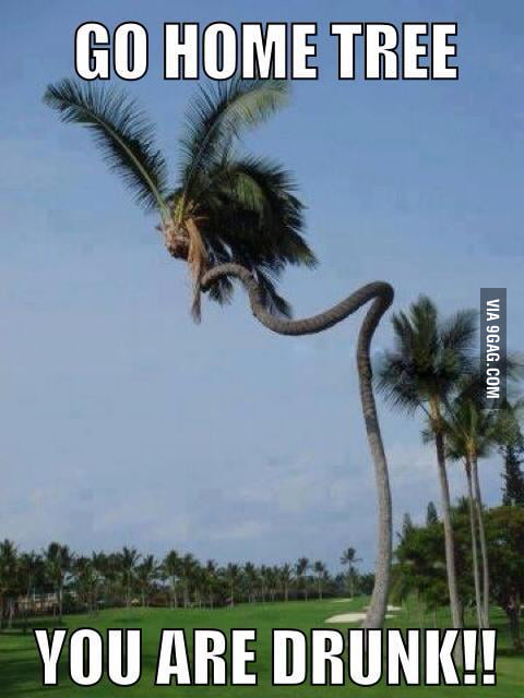 Go home tree - 9GAG
