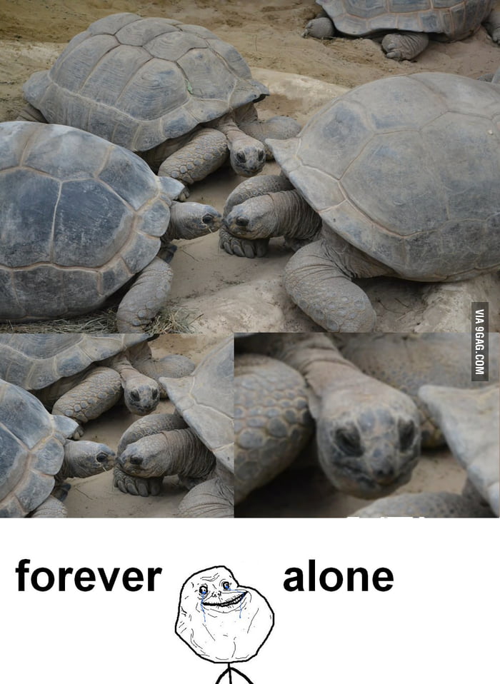 Best forever alone ever - 9GAG