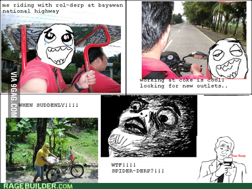 Real Life Spider Derp - 9GAG