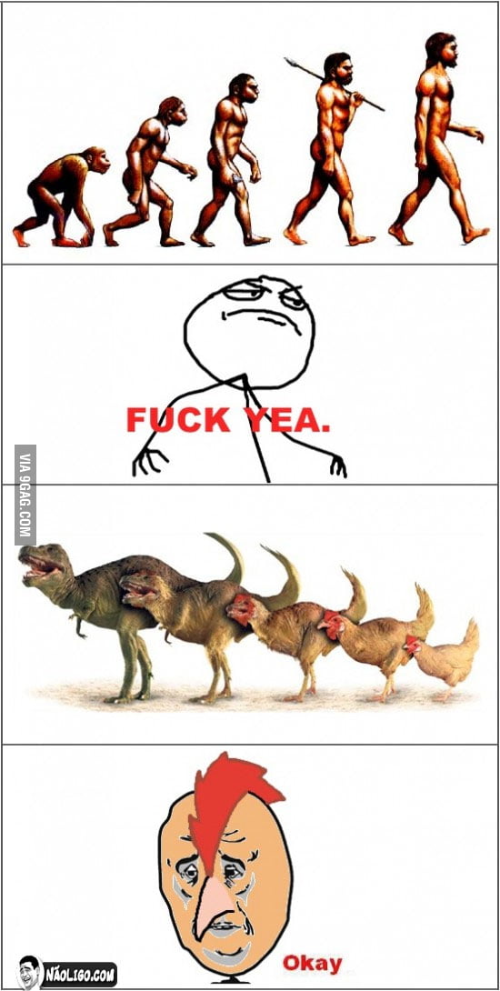 Chicken Devolution - 9GAG