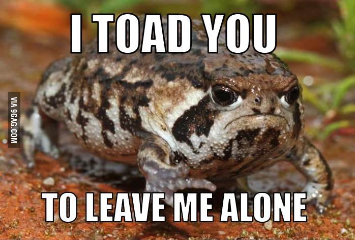 Grumpy Toad - 9GAG