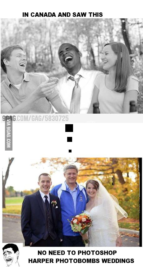 Real wedding photobomb - 9GAG