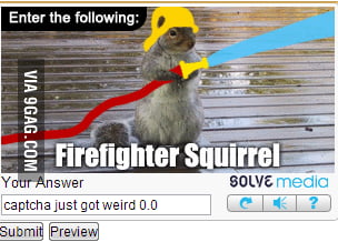 My captcha likes squirrels - 9GAG