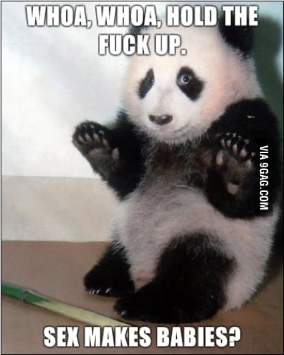 Surprised panda meme anyone? - 9GAG