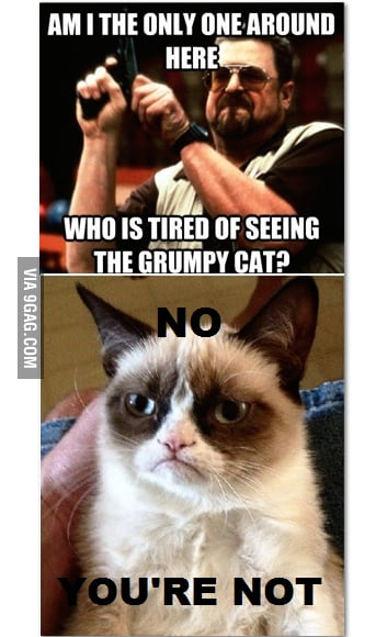 Grumpy Cat is Grumpy - 9GAG