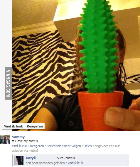 I love my cactus - 9GAG