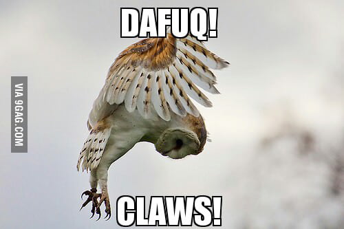 Dafuq owl - 9GAG