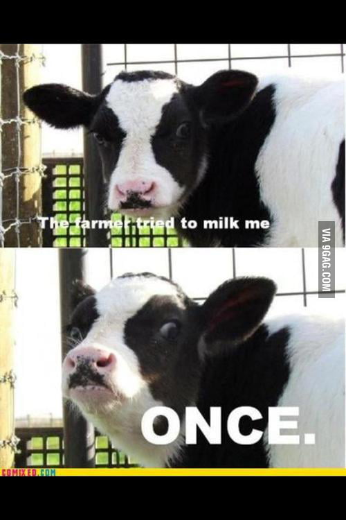 You Only Moo Once - 9GAG
