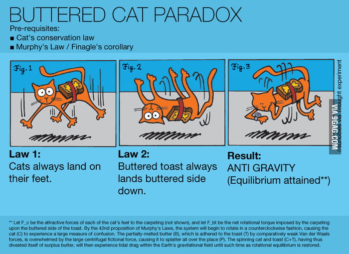 Buttered Cat Paradox. - 9GAG