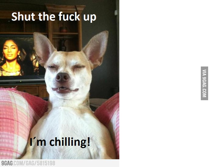 Chiller Dog Meme - 9GAG