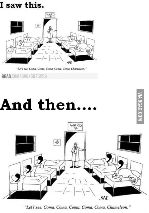 Comma. Chameleon. - 9GAG