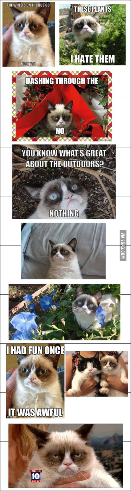 Grumpy cat compilation! - 9GAG