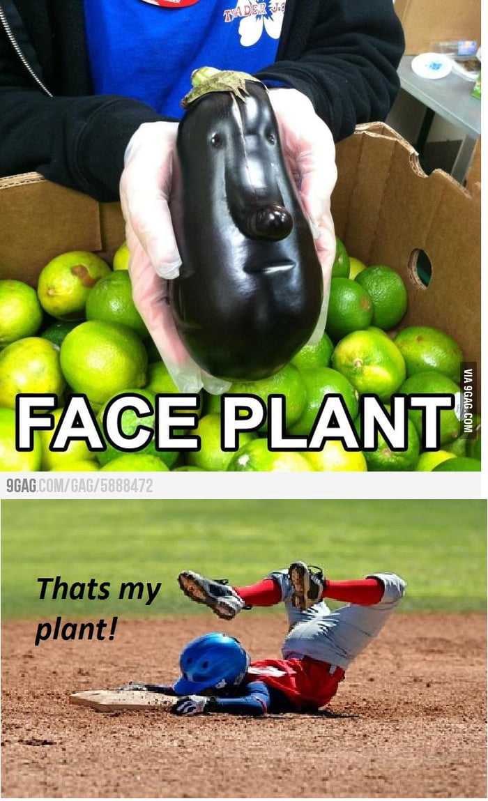 My faceplant! - 9GAG