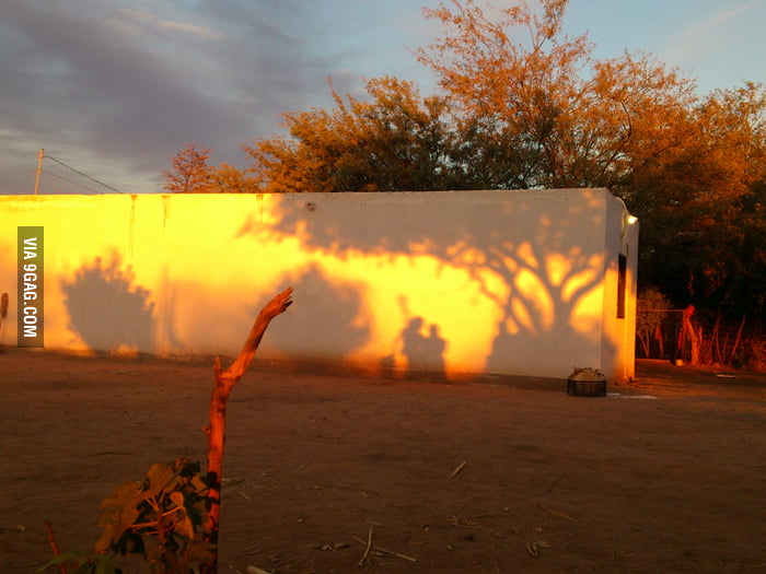 Perfect Shadow Timing - 9GAG