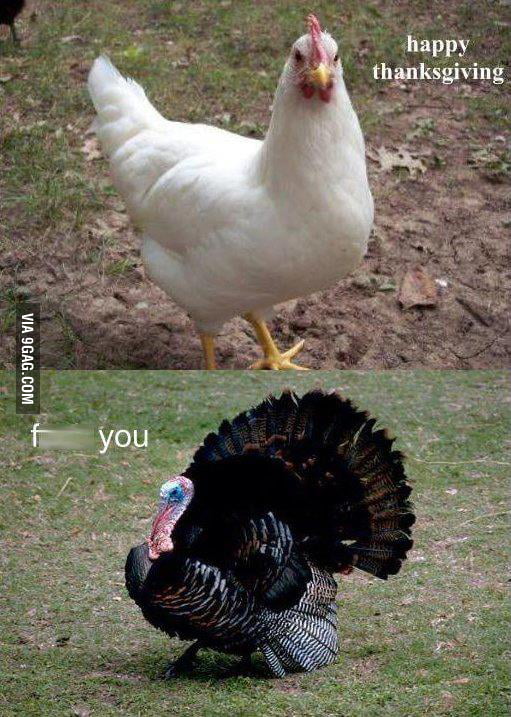 Happy Thanksgiving... - 9GAG