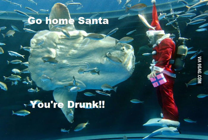 Go Home Santa!!! - 9GAG