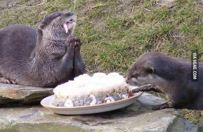 "Thank you god for this amazing shrimp cake!" - 9GAG