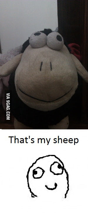 Derp sheep - 9GAG