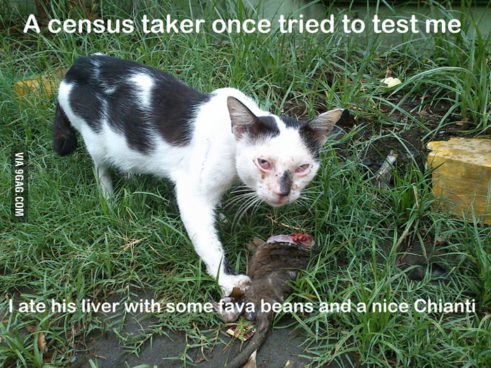 Introducing,, the Hannibal Cat - 9GAG