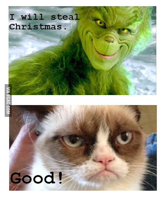 Grumpy cat is Grumpy. - 9GAG