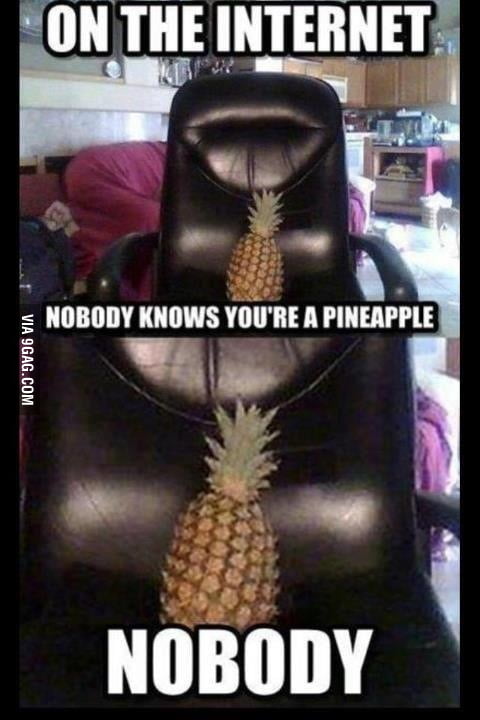 On the internet, nobody knows that you're a pineapple - 9GAG