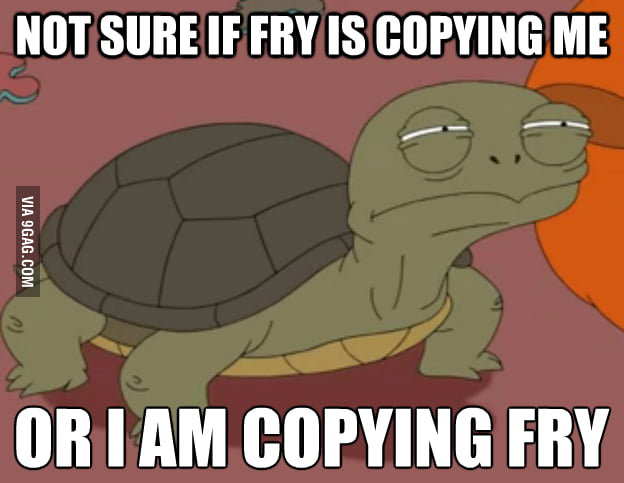 Family Guy Stewie's Turtle, Sheldon - 9GAG