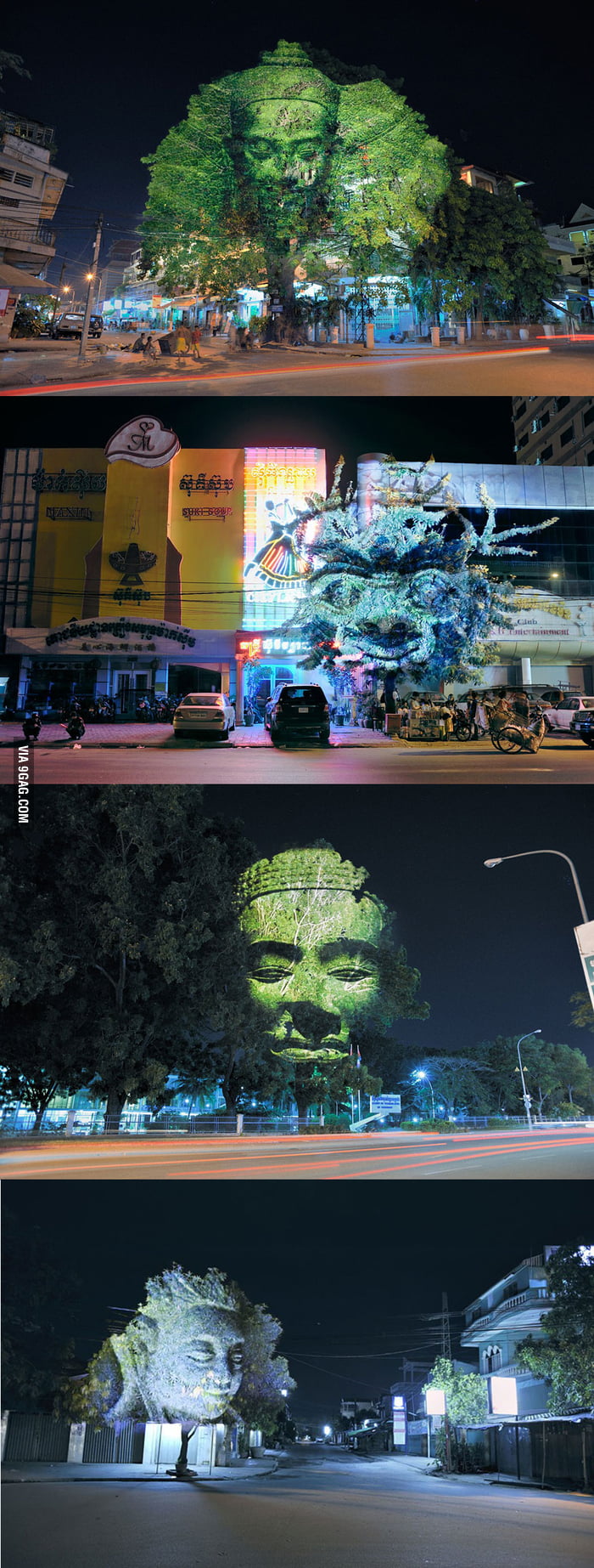 3D Projections on Trees - 9GAG