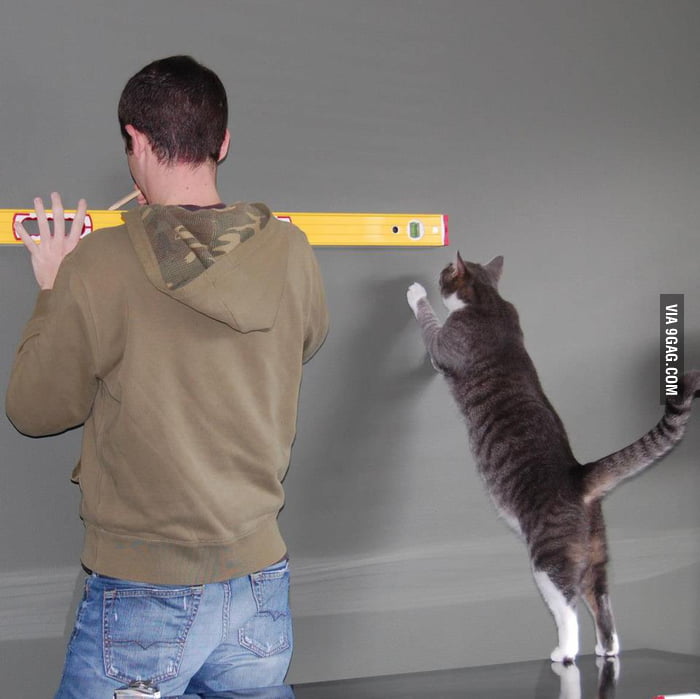 He's double checking my work. - 9GAG