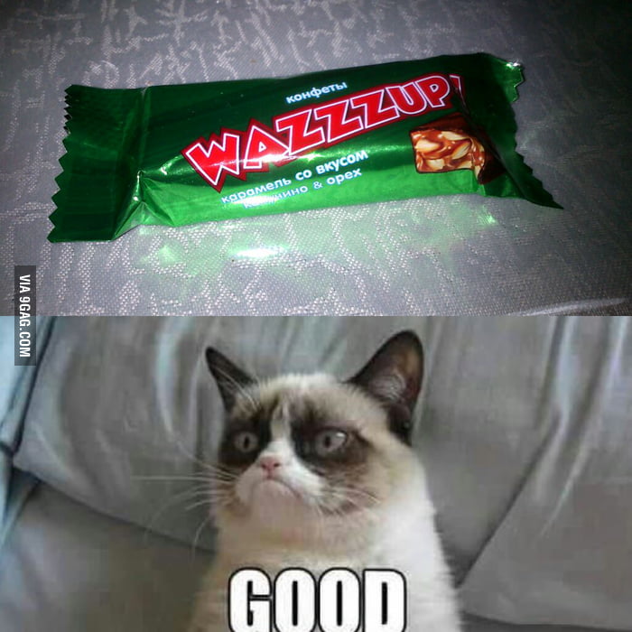 Wazzap cat? - 9GAG