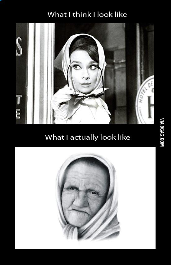 Scarf Blanket Memes