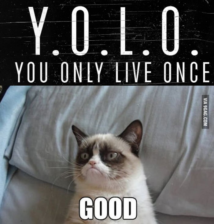 Grumpy Cat Learns YOLO - 9GAG