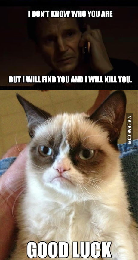 Liam Neeson VS Grumpy Cat - 9GAG