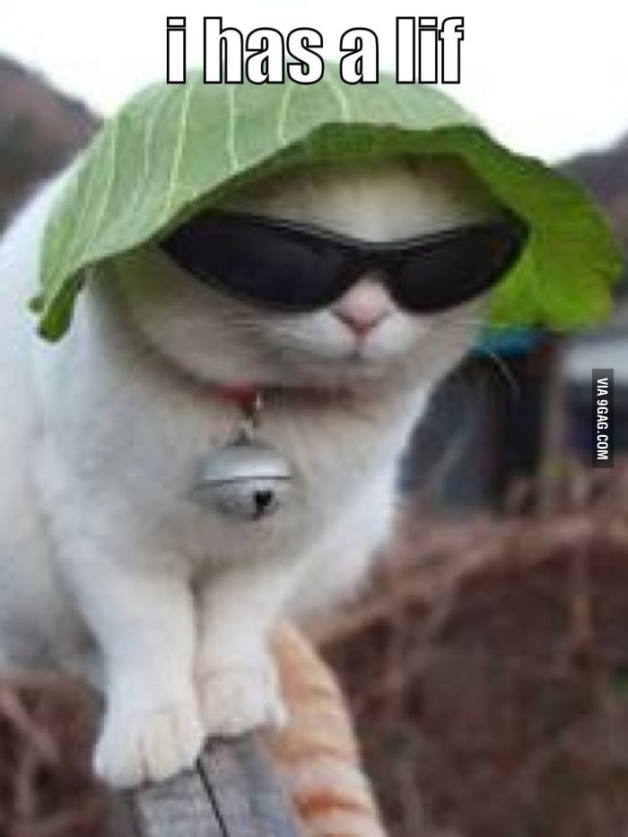 I has a lif - 9GAG