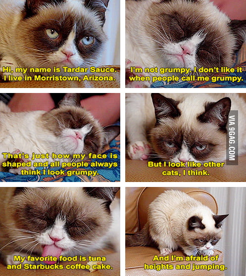 Not that grumpy - 9GAG