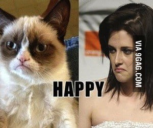Grumpy Cat vs Kristen Stewart - 9GAG